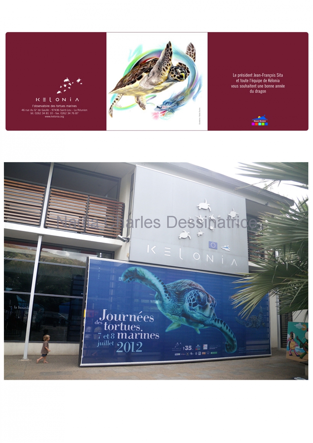 Illustrations Divers – Nadia Charles Dessinatrice