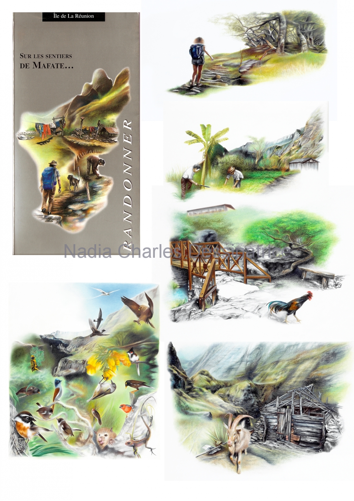Illustrations Divers – Nadia Charles Dessinatrice